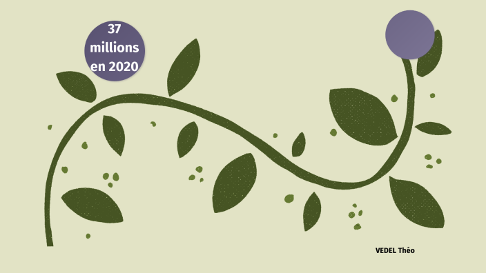 LEDUC-LUBOT by theo vedel on Prezi