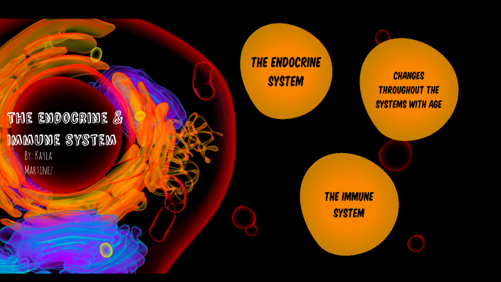 The Endocrine & Immune System by Kayla Martinez on Prezi