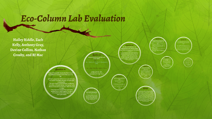 Eco-Column Lab Evaluation by Hailey Riddle on Prezi