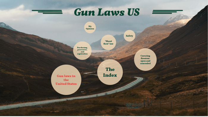 Gun Laws US Presentation by Emil Z on Prezi