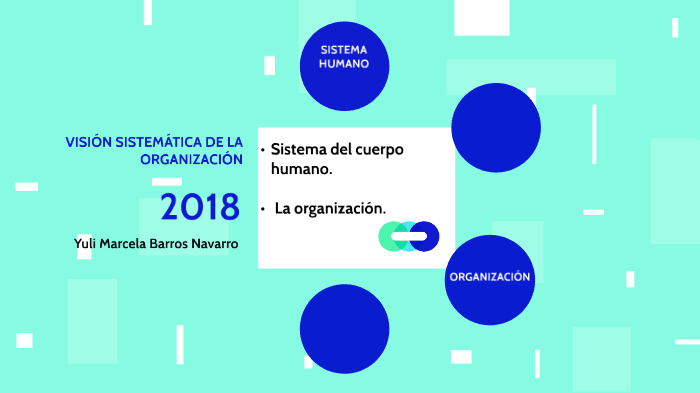 VISIÓN SISTEMÁTICA DE LA ORGANIZACIÓN by marcela barros on Prezi