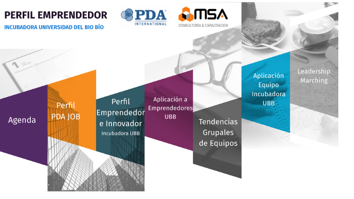 Informe Definición Perfil PDA-JOB Ubiobio by Charís Scarlette Sanchez ...