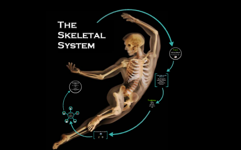 Anatomy Final Project by Justin Molina on Prezi