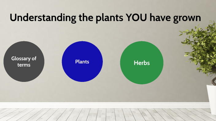 Understanding the plants YOU have grown by Bev Hallam on Prezi