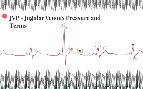 JVP - Jugular Venous Pressure by emily jackson on Prezi