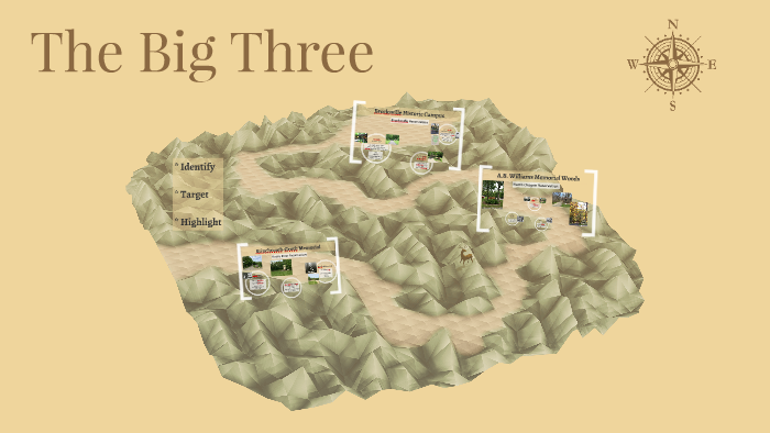The Big Three by on Prezi