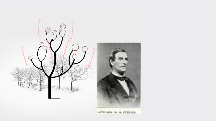 William Henry Steeves by Kelsey Stephenson on Prezi