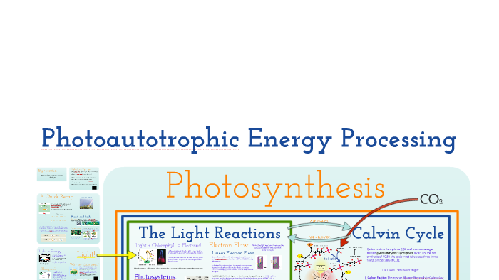 Ch. 10 Photoautotrophic Nutrition by on Prezi