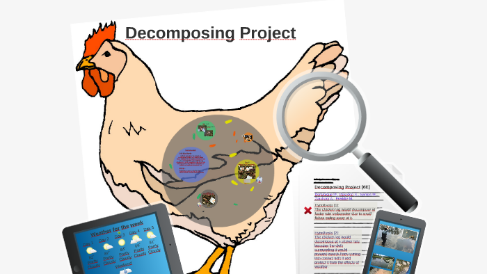 Forensic Science Decomposition Project by Dominique Martinez on Prezi