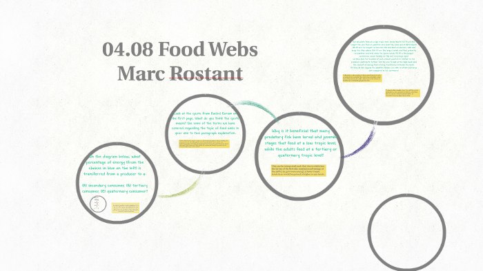 04.08 Food Webs by marc rostant on Prezi
