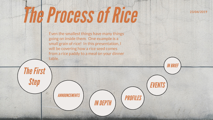 The Process of Rice by Rabiah Harim on Prezi