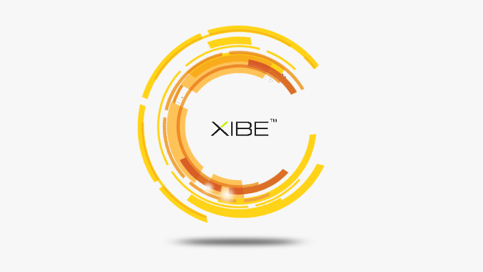 XIBE 1 by Vivek Jain on Prezi