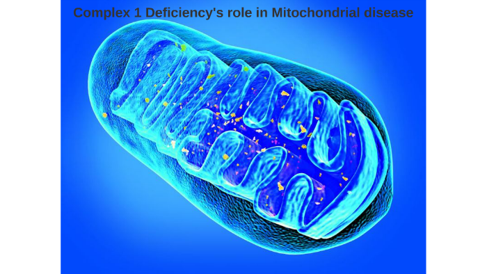 Complex 1 Deficiency's role in Mitochondrial disease by brooke phillip ...