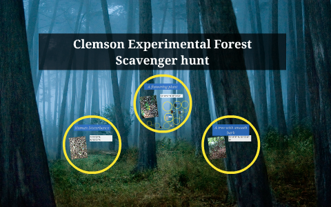 Clemson Experimental Forest Scavenger hunt by Claire Johnson on Prezi