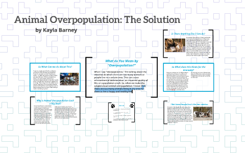 Animal Overpopulation: The Solution by Kayla B on Prezi