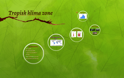 Tropisk klima zone by patricia slisz on Prezi
