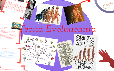 Teoria Evolutionista by Sibel Edition on Prezi