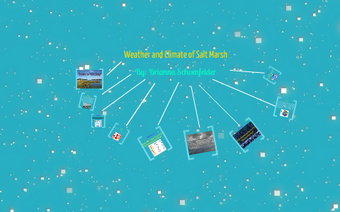 Salt Marsh Project by Brianna Schoenfelder on Prezi