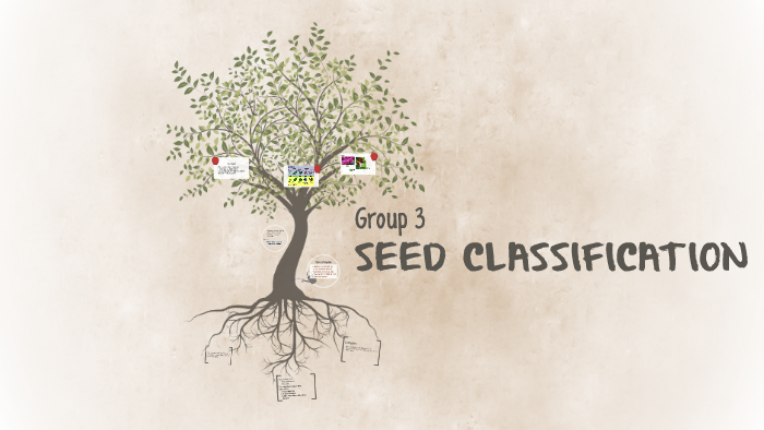 SEED CLASSIFICATION by Nicole Ampo on Prezi