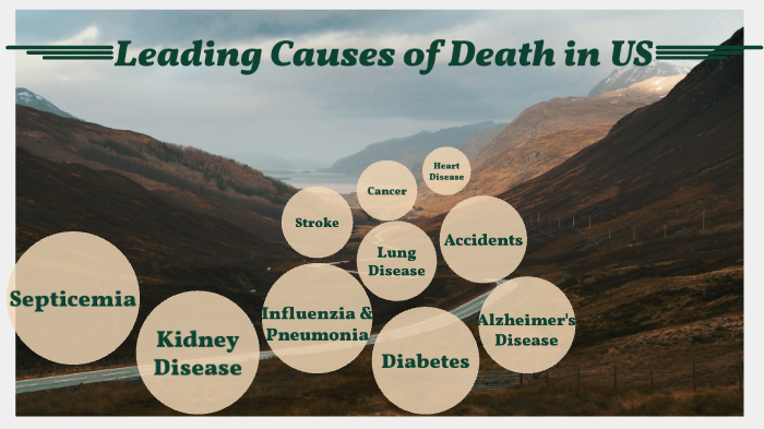Leading Causes of Death by Alison Skelton on Prezi