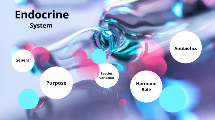 Endocrine/Immune System by Sydney Wheeler on Prezi