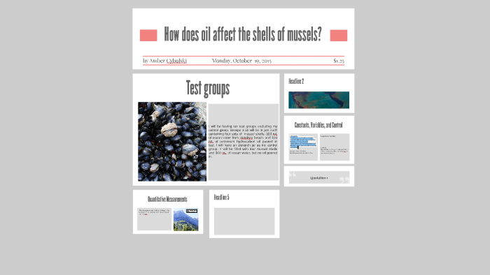 How oil spills affect the shells of mussels by Amber Cybulski on Prezi