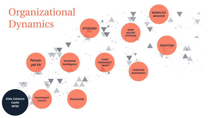 Organizational Dynamics by elida coe on Prezi