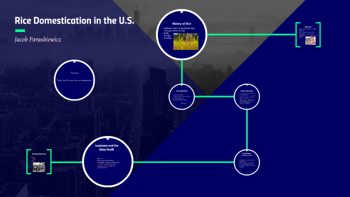 Rice Domestication in the U.S. by Jake Skev on Prezi