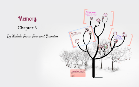 Chapter 3 Memory Prezi by Jesus Barraza on Prezi