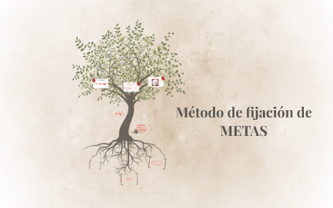 METODO DE FIJACION DE METAS by MIGUEL CETINA on Prezi