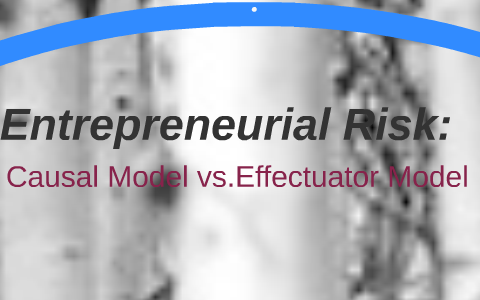 Entrepreneurial Risk: “Affordable Loss”, “Effectuation”, and by Houston ...