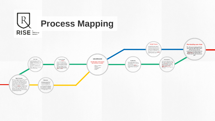 Process Mapping by RISE Group