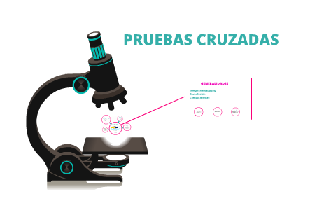 PRUEBAS CRUZADAS by Stephanie López on Prezi