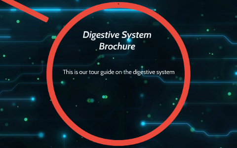 Digestive System Brochure by Riley Wittet on Prezi