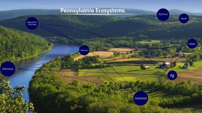 Ecosystems and Food Webs by Brandon Witmer on Prezi