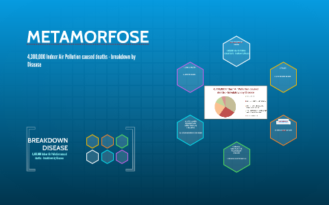 METAMORFOSE by magala peter on Prezi