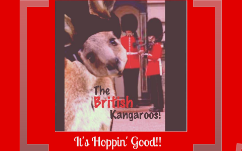 The British Kangaroos by madison henry on Prezi