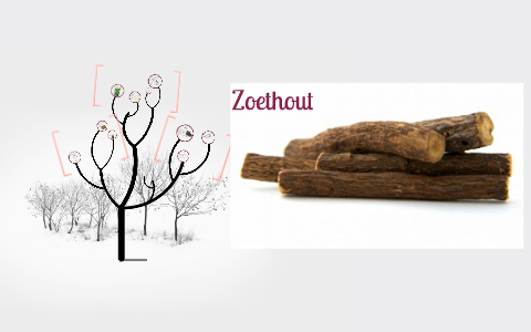 Zoethout by Sylke Kas on Prezi