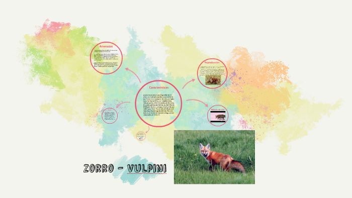 Zorro - Vulpini by Diego de Miguel Calatrava on Prezi