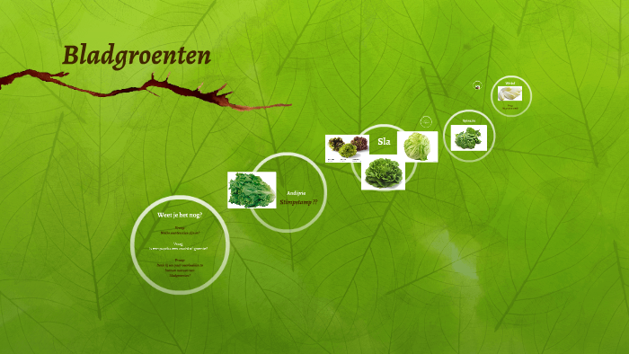 Bladgroenten by Janna de Haan on Prezi