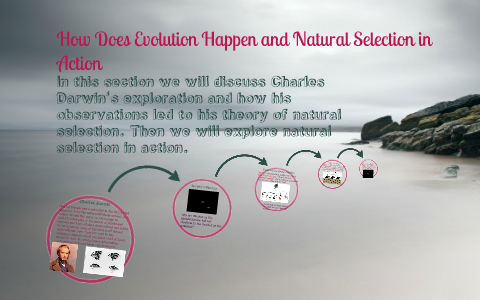 How Does Evolution Happen by Robert Williford on Prezi