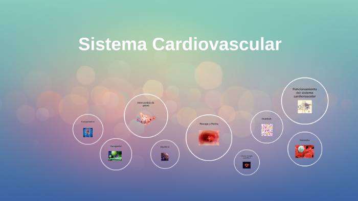 FUNCIONES DEL SISTEMA CARDIOVASCULAR by Gerardo Olguín Vélez on Prezi