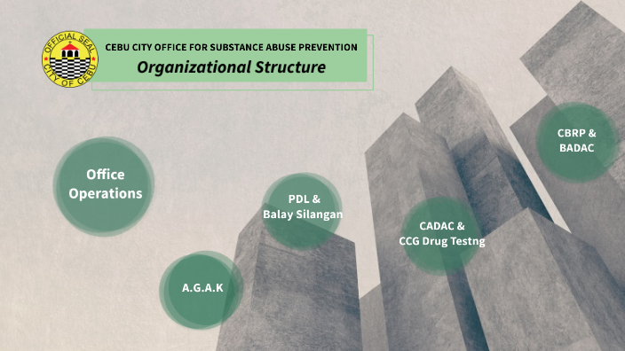 COSAP Organizational Structure by Kristine Maringuran on Prezi