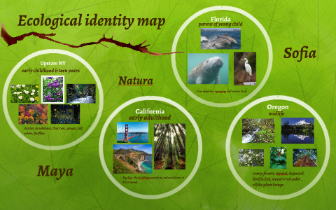 Ecological identity map by Jennifer Stickley on Prezi
