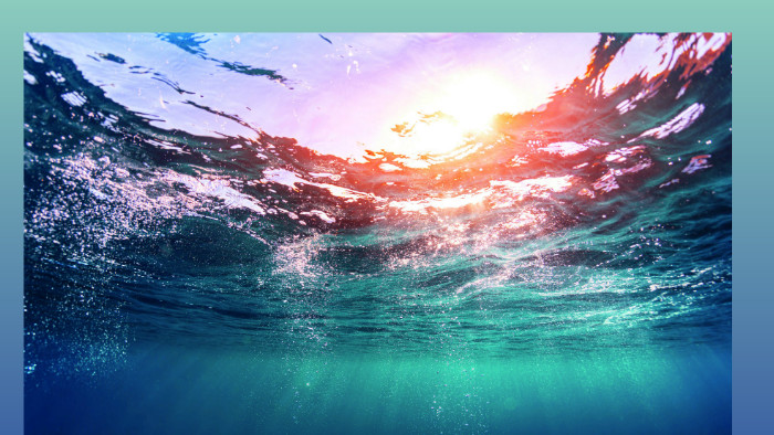 MAPA ZDROWIA WEDŁUG SANTE by vein is on Prezi