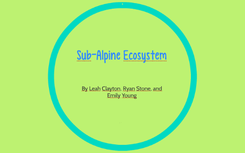 Subalpine Ecosystem by Maia Clayton on Prezi