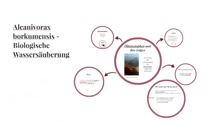 Alcanivorax borkumensis - by Luisa Baumann on Prezi