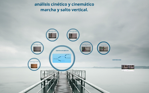 biomecanica by rodrigo robinson hernandez leiva on Prezi