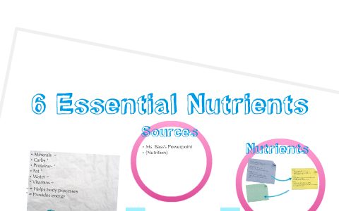 6 Essential Nutrients by Maggie Abel on Prezi