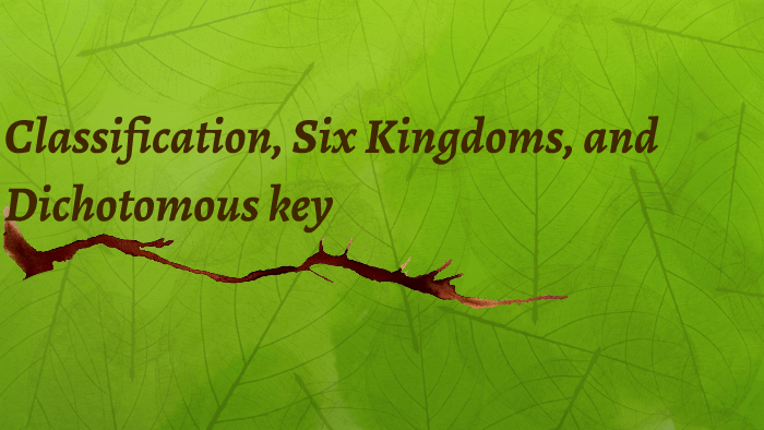 Classification, Six Kingdoms, and Dichotomous keys by Presley Miller on ...